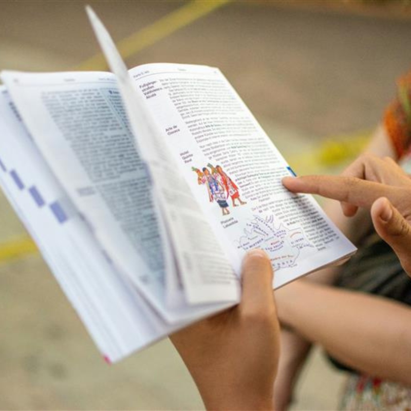 Services & Support | First Steps ED